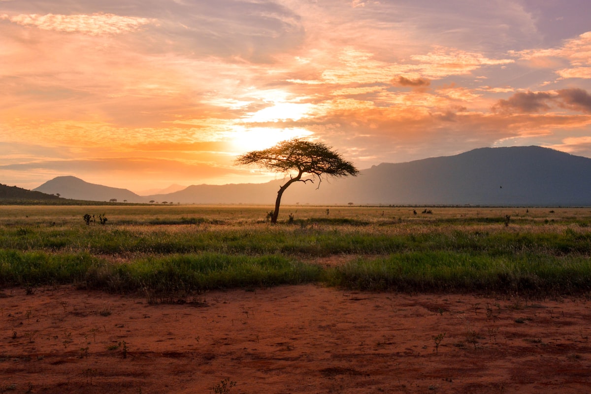 Tanzania's 518: Inside the Commission That Changed the Story of the ...